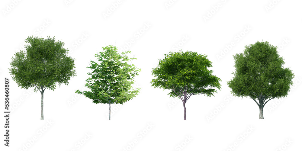 Collection Beautiful 3D Trees Isolated on PNGs transparent background ...