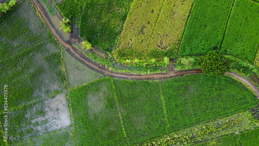 Aerial view of rice fields or agricultural areas affected by rainy ...