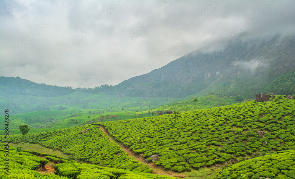 Munnar, the famed hill station of south India, is a romantic locale ...