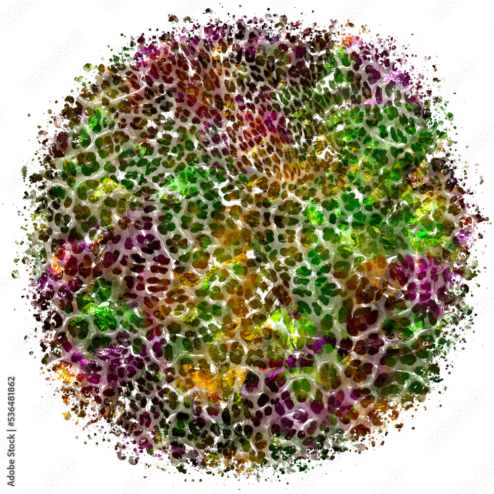 Abstract leopard brush stroke png,Animal skin Abstract multicolor png ...