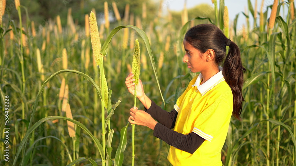 School girl inspection millets filed Stock Photo | Adobe Stock
