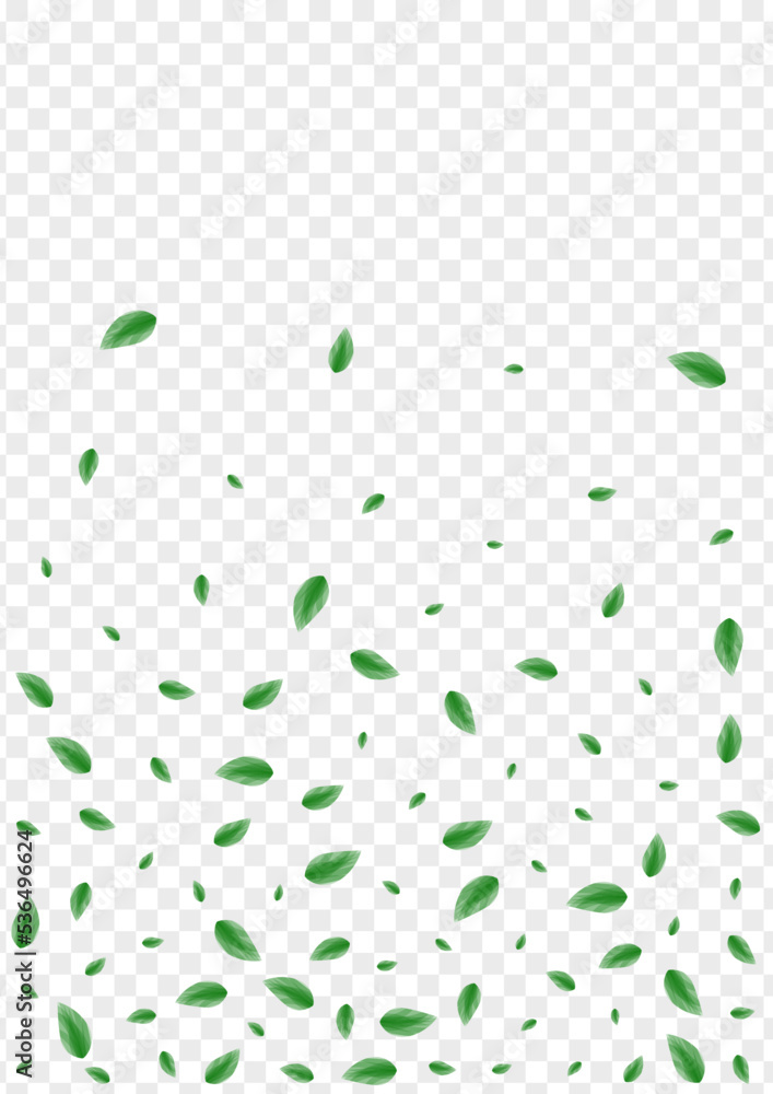 Light Green Leaf Background Transparent Vector. Sheet Botanical Card ...