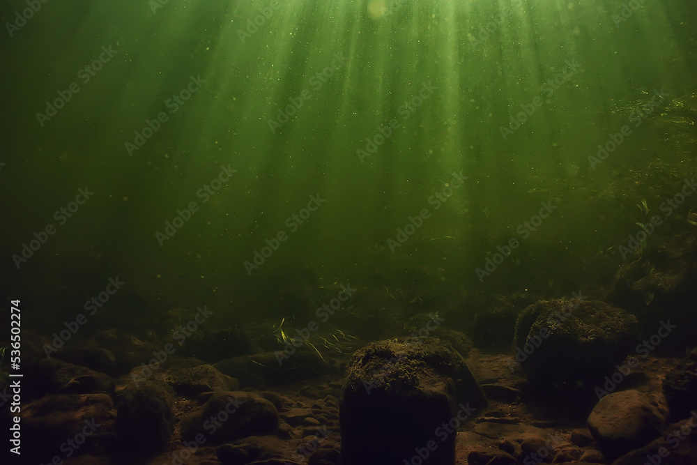 underwater fresh water green background with sun rays under, water ...