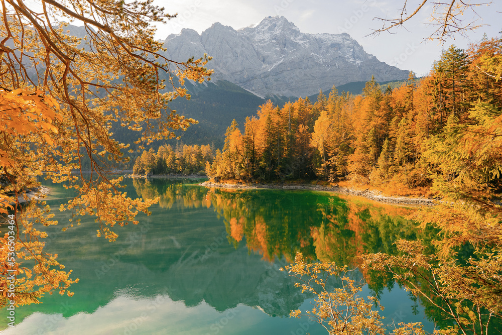 Autumn colors in fall at lake Eibsee. Alpine landscape with German Alps ...