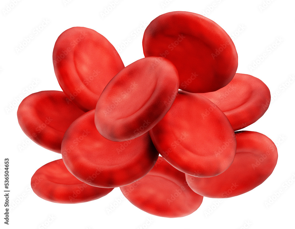 Blood cells isolated on transparent background Stock Illustration ...