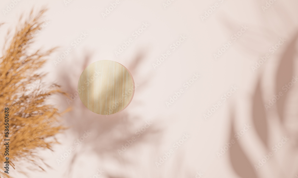 Top view with colorful background snd tree stand or podium on ...