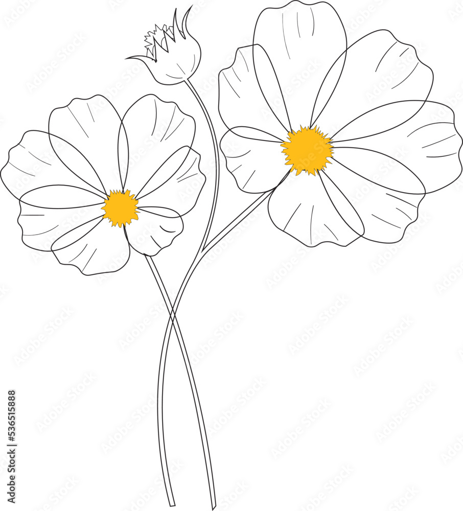 Vector set with outline Cosmos or Cosmea flower bunch, ornate leaf, and ...