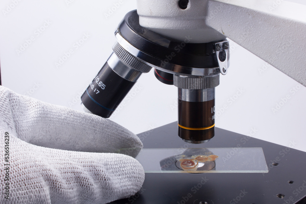 sample on laboratory glass and optical microscope on white background ...