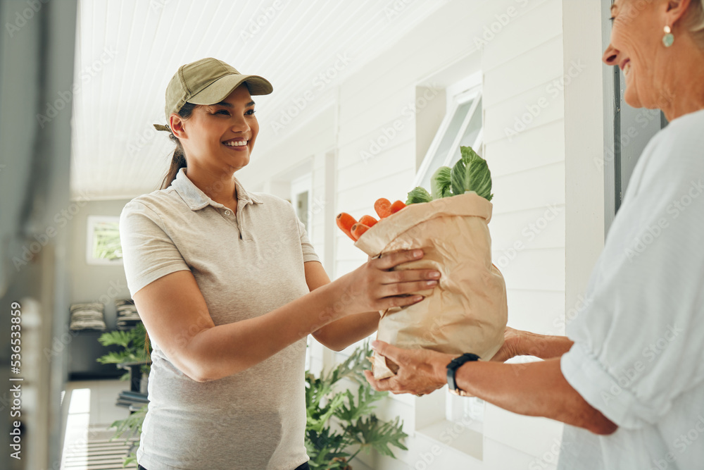 Food delivery, grocery and online shopping with customer at door with ...