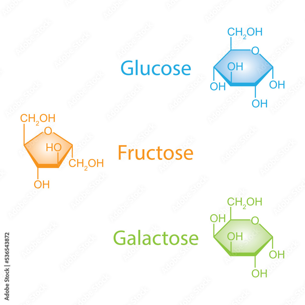 Chemical Illustration of Monosaccharides. Glucose, Fructose And ...