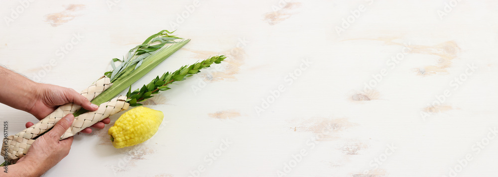 Jewish festival of Sukkot. Traditional symbols (The four species ...