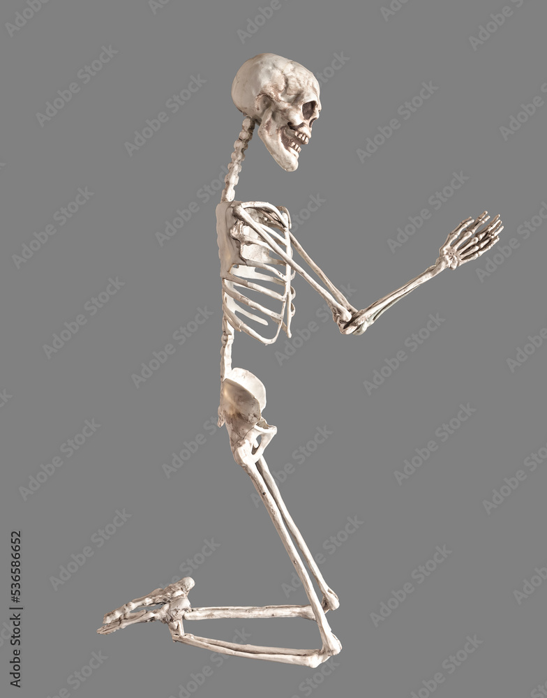 Skeleton prayer kneeling side view. Skeletal human praying to lord ...