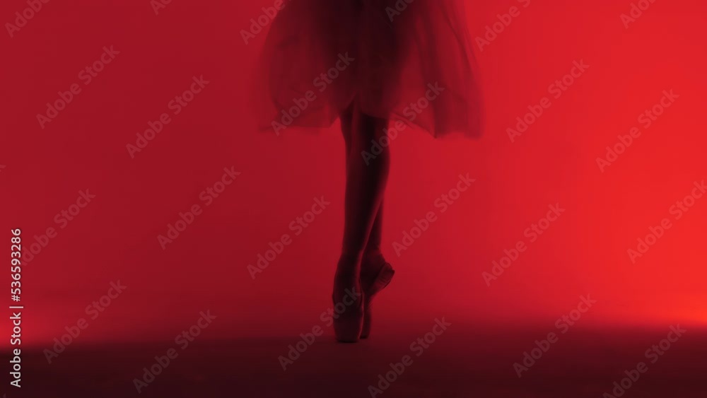 Ballerina. White background. Girl does dance steps in the stage costume ...