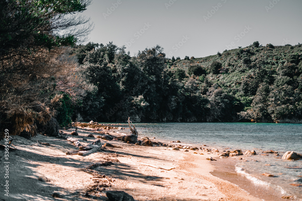 dry tree trunk on the beach next to stones and rocks near calm sea ...