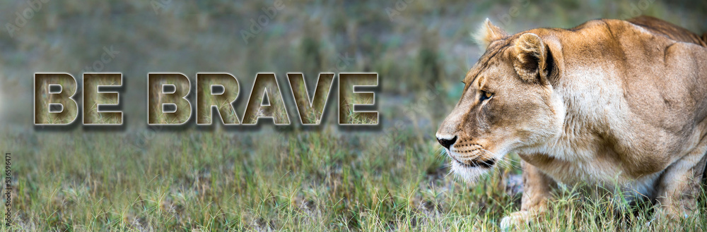 Lion character concept with inspiring motivational power words ...