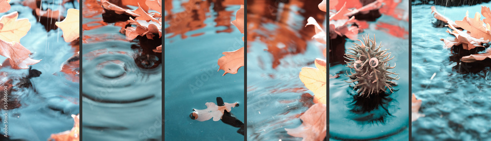 Halloween stories template for social media. Set of flat lay photos of ...