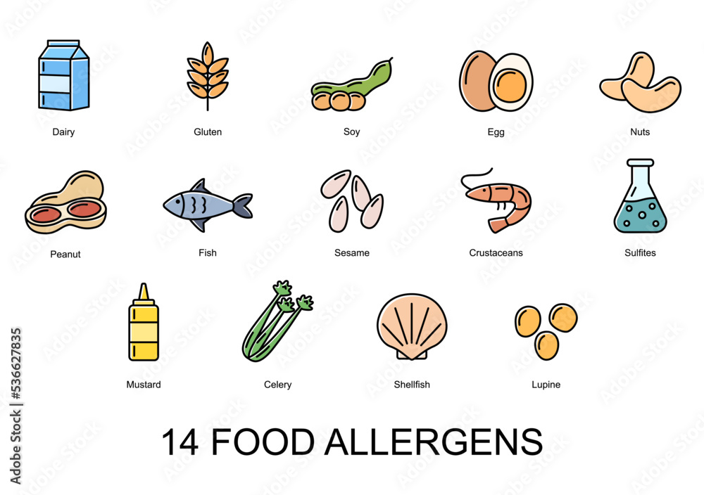 14 food allergens. Set of color icons of basic allergens . Vector ...