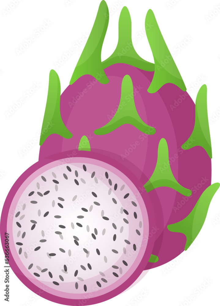 Tropical dragonfruit with slices cartoon vector illustration. Fresh ...