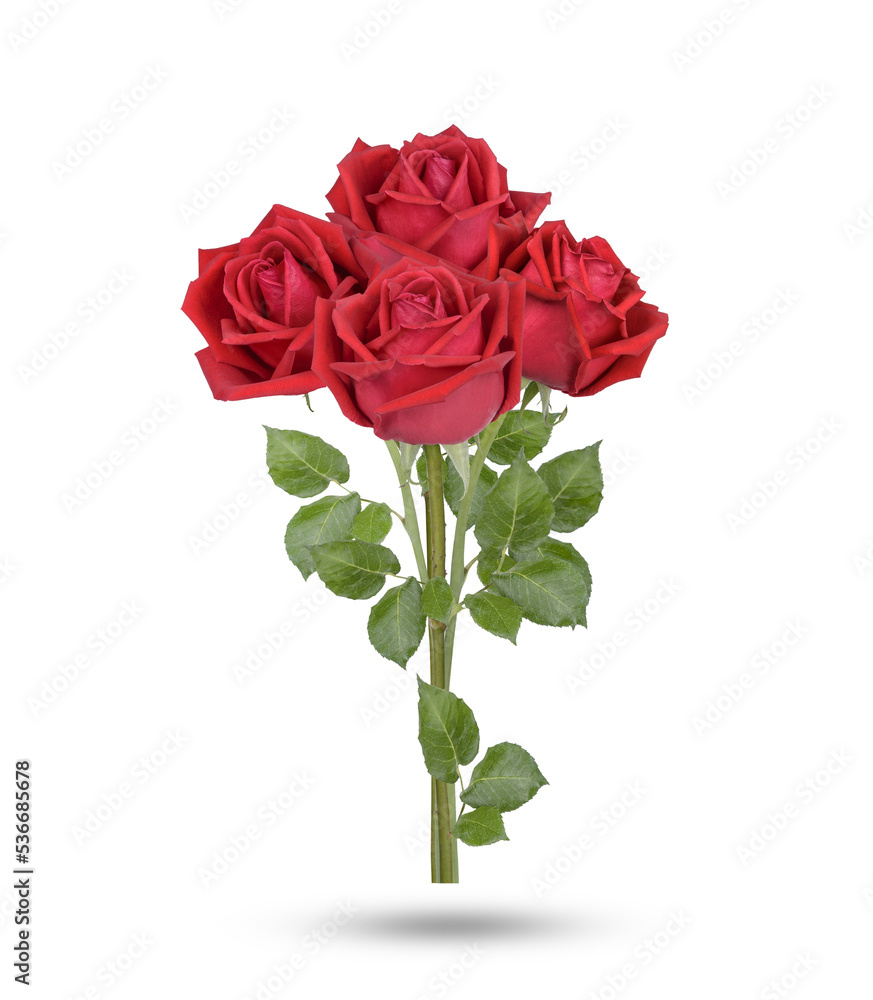 Red rose with leaves isolated on transparent background. (.PNG) Stock ...
