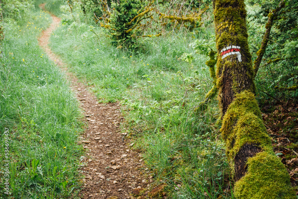 Un sentier de randonnée. Un sentier du GR. Un circuit de grande ...