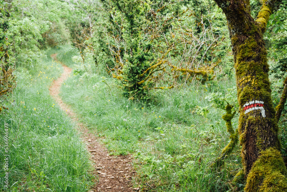 Un sentier de randonnée. Un sentier du GR. Un circuit de grande ...