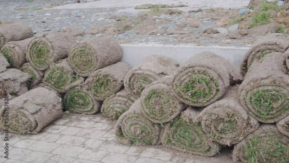 Gardening and landscaping. Pile of sod rolls in green field and lawn ...