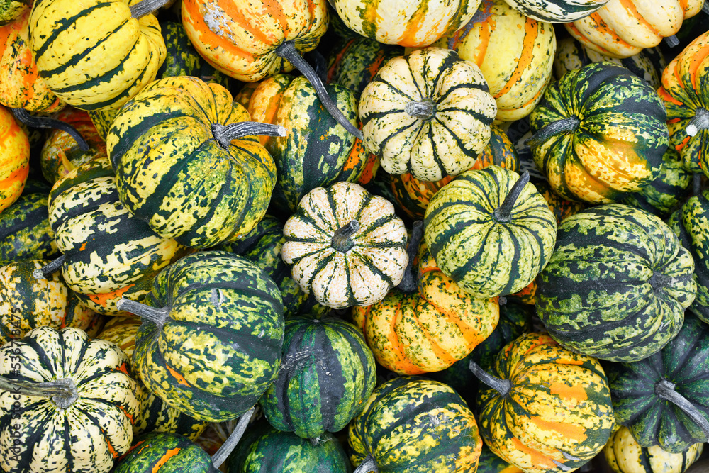 Top view of pile of small colorful orange, green , white and yellow ...
