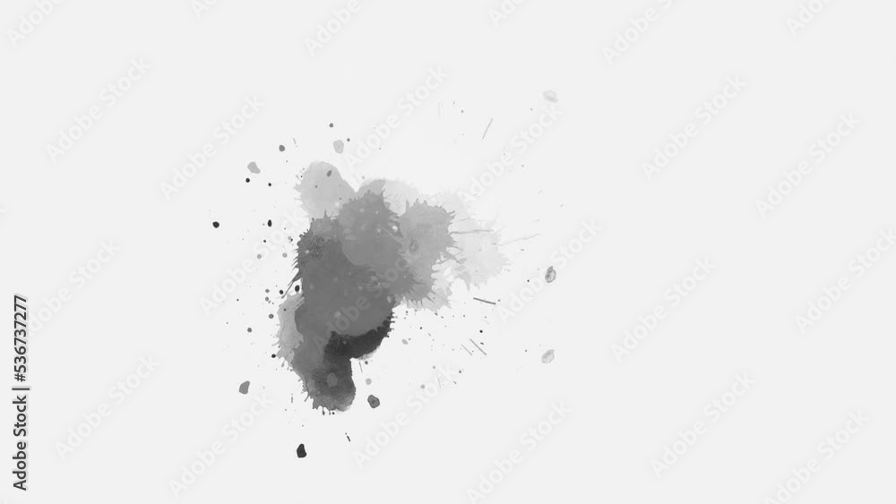 Ink Drops Transition on White Background. Ink splatters transition ...