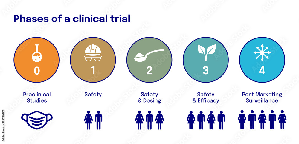 Phases of a clinical trial illustration with icons, description and ...
