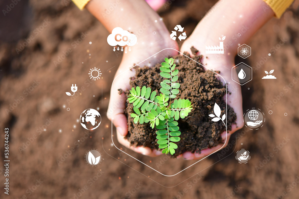 Hand planting trees with technology of renewable resources, Net Zero ...