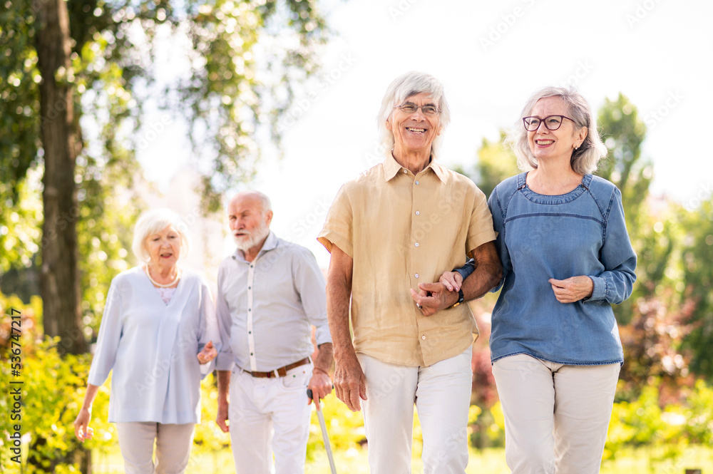 Group of seniors people bonding at the park - Old elderly people having ...