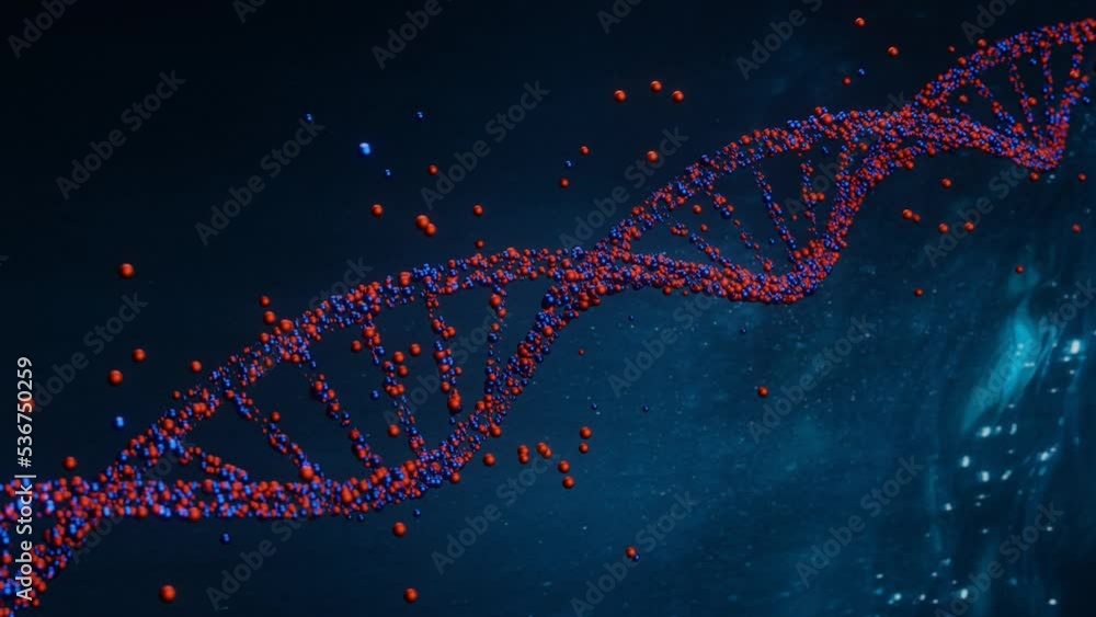 Animation of the helical structure of red and blue colored alien DNA ...