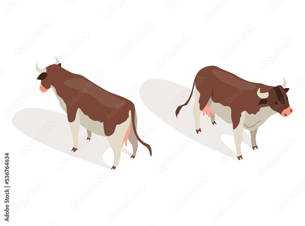 Farm animal isometric. Domestic animal in 3d flat back and front view ...