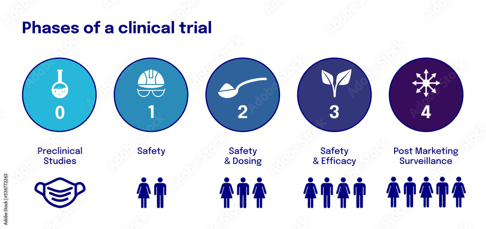 5 Phases of a clinical trial Stock Illustration | Adobe Stock