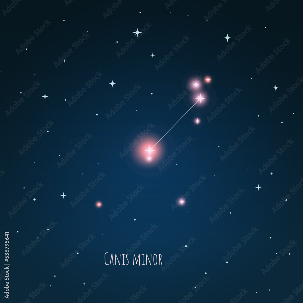 Constellations Canis Minor