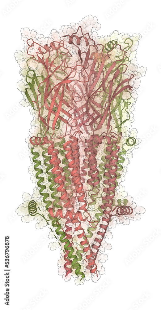 Acetylcholine Structure 3d