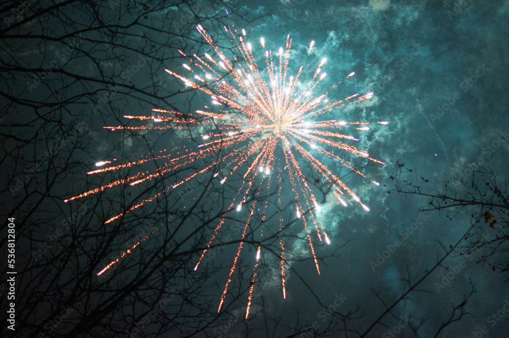 Huge fireworks explosions with all colors over a party in the park. In ...