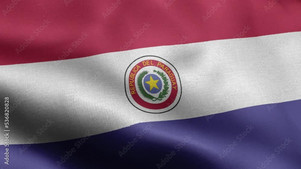 Flag Of Paraguay - Paraguay Flag High Detail - National flag Paraguay wave Pattern loopable ...