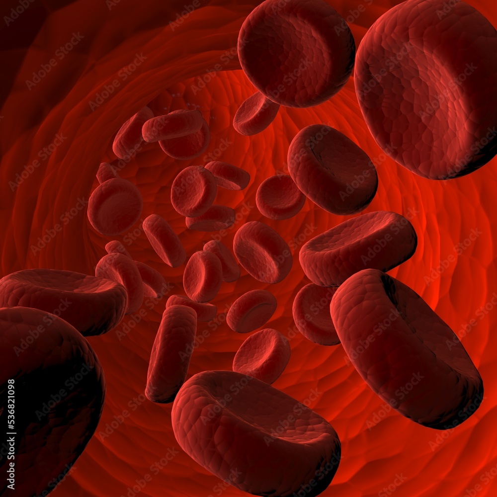Blood cells flying through arteries. Circulating hemoglobin blood ...