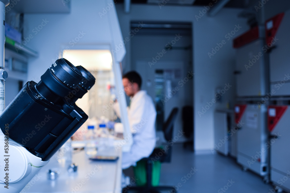 PhD scientist working in the laboratory under the bench preparing ...