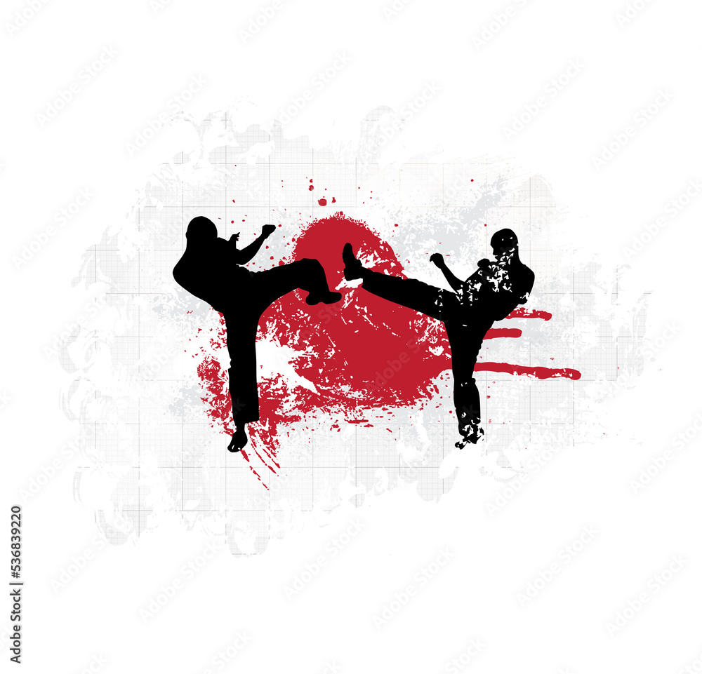 Young male karate warrior. Healthy lifestyle. Martial arts. Stock ...
