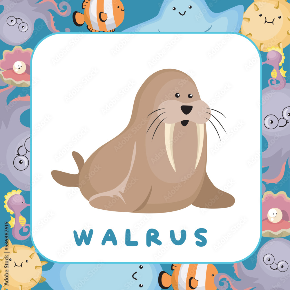 Sea animal flashcards for kids. Introducing the sea animals to children ...
