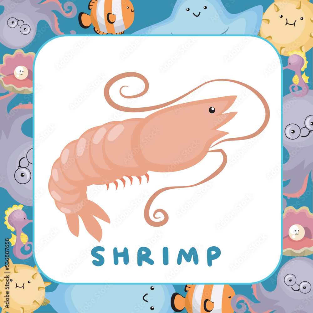 Sea animal flashcards for kids. Introducing the sea animals to children ...