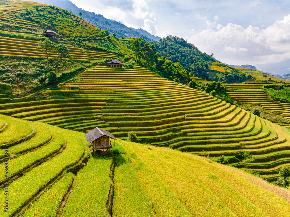 The most beautiful rice fields in Vietnam Stock Photo | Adobe Stock