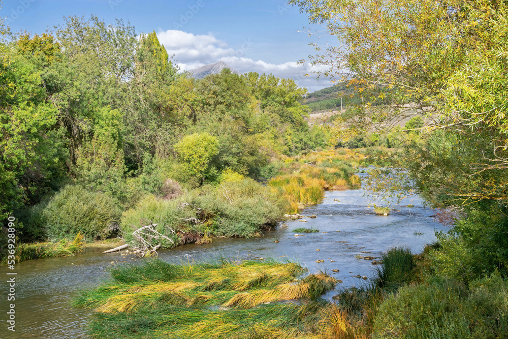 Arakil River, a tributary of the Arga River as it passes through the ...
