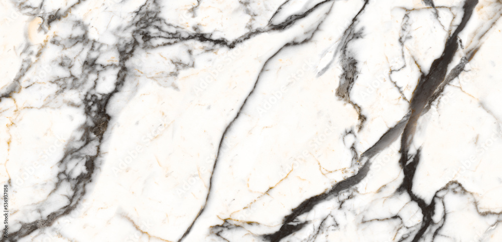 White Crystal satvario marble texture background with black-gold curly ...
