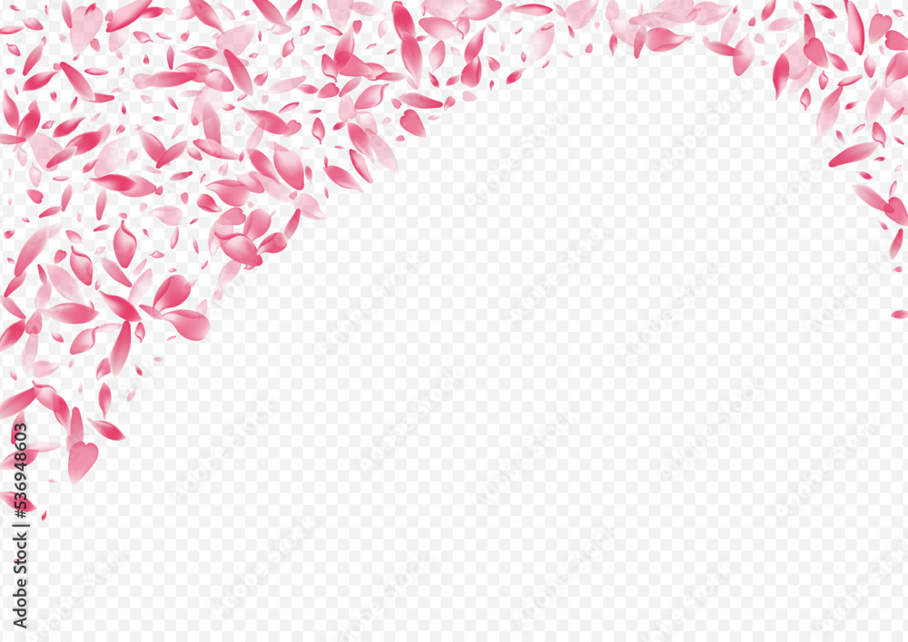 Color Sakura Vector Transparent Background. Stock Vector | Adobe Stock