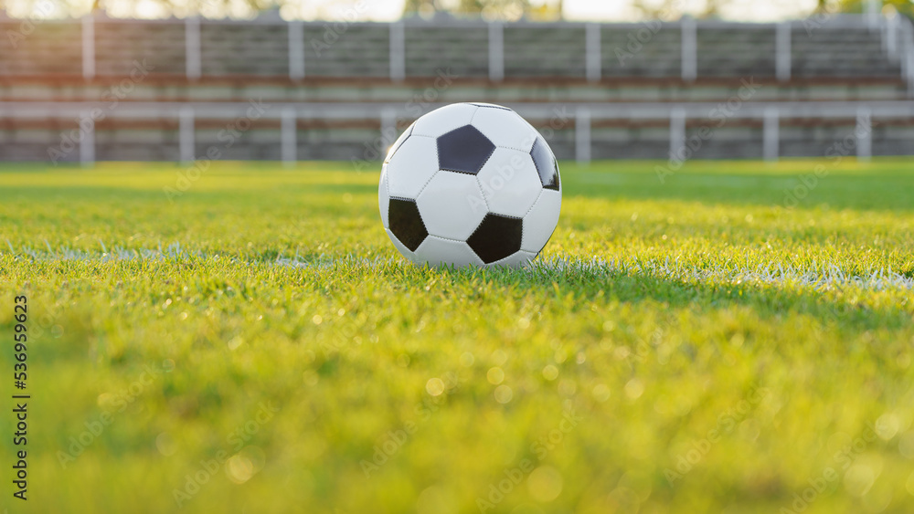 textured green soccer game field with soccer ball in a stadion ...