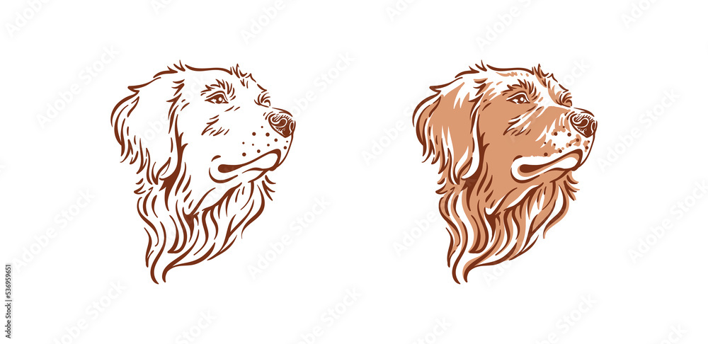 Golden retriever dog head illustration side view pet vector drawing ...