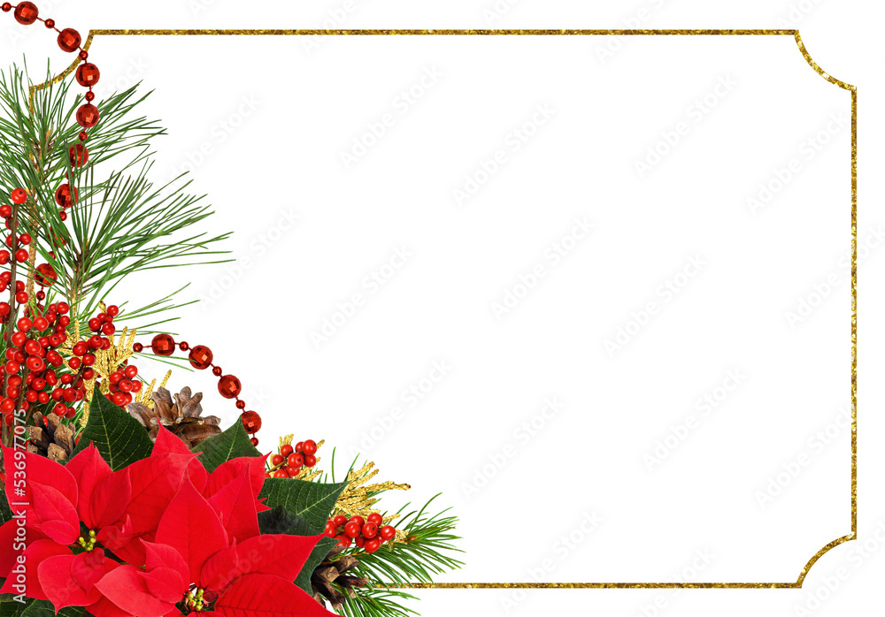 Christmas corner arrangement with pine twigs, red berries and ...